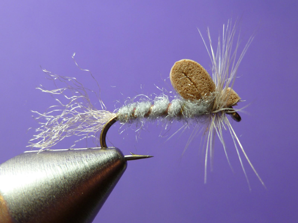 Korns EMT Loop Wing Emerger